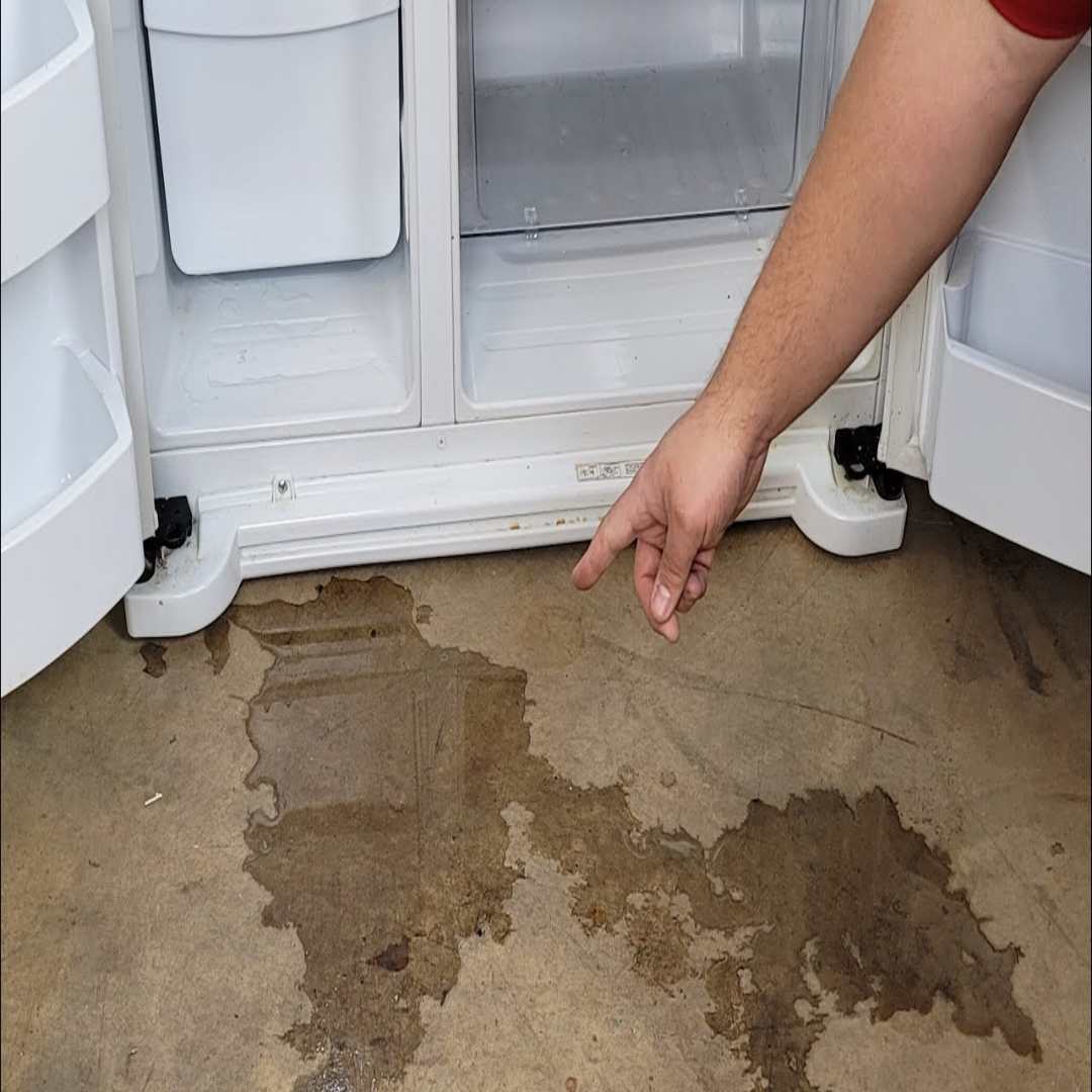 Water Leakage Fridge Service